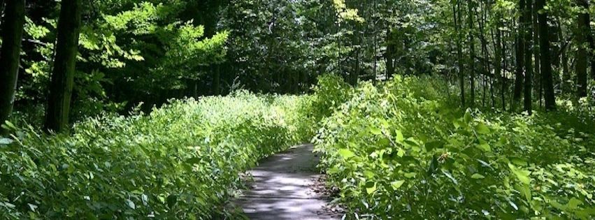 pathwaytoclarity.com